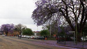 Modimolle-Mookgophong Municipality – Modimolle-Mookgopong Municipality