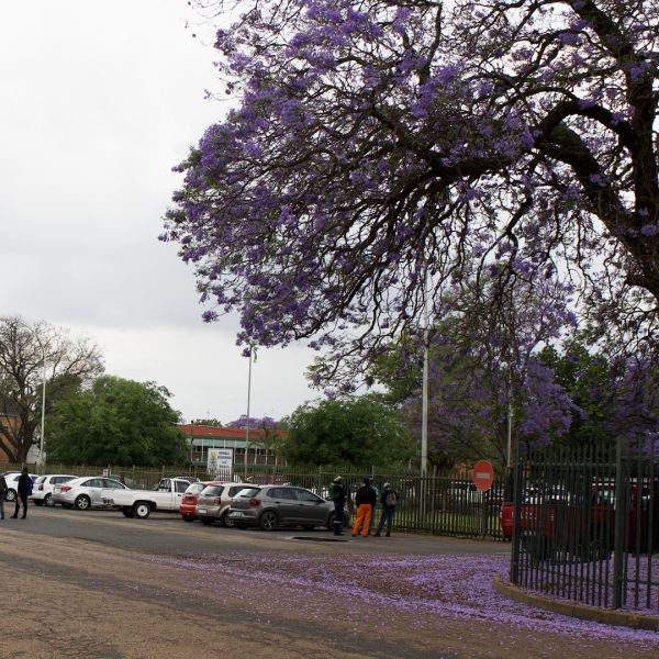 Photos – Modimolle-Mookgophong Municipality