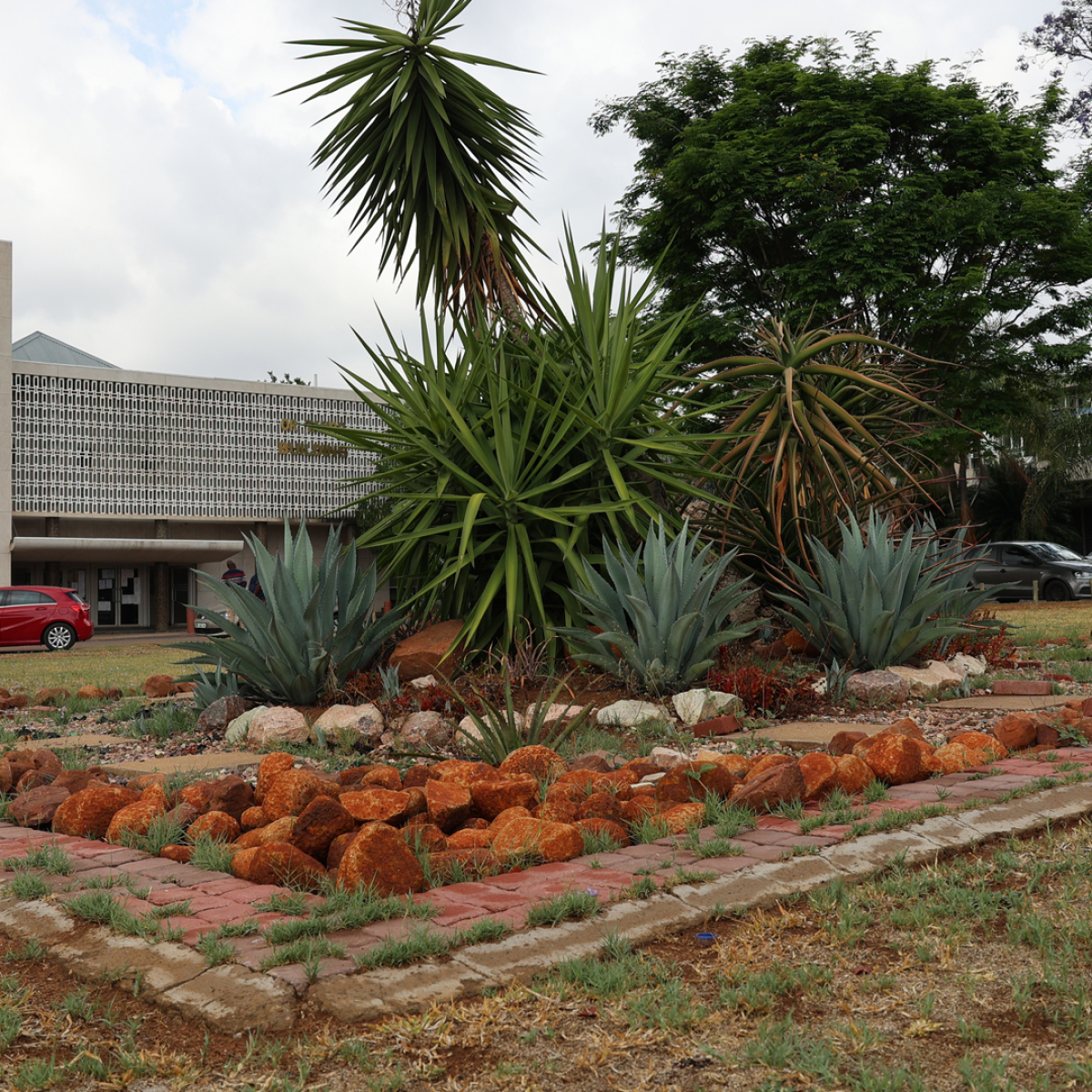 Photos – Modimolle-Mookgophong Municipality