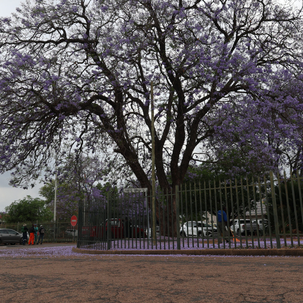 Photos – Modimolle-Mookgophong Municipality